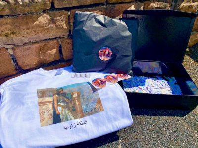 Alexander's module project